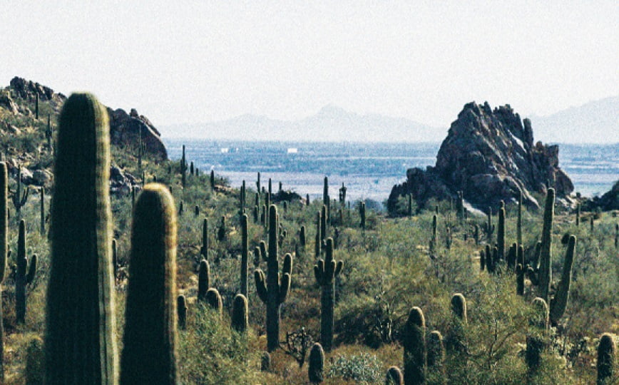 Brightmark® RNG Holdings launches RNG production in the US Southwest ...